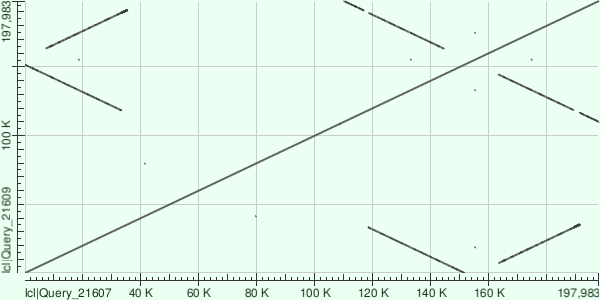 Genomics Project :: Daniele Colombo